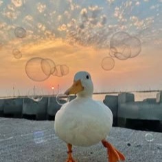 Cute Goose Pfp by redst0nem4n.