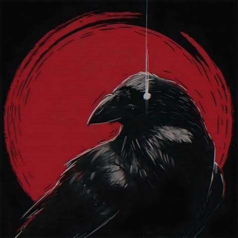 Crow Pfps and Icons - For Discord, Instagram & TikTok