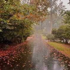 Fall Aesthetic Pfp by dino_696