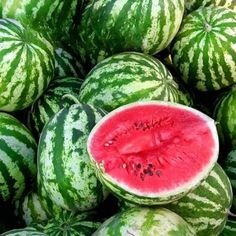 Watermelon Pfp by Kris Wilson