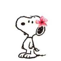 Peanuts Pfp by qu1xn