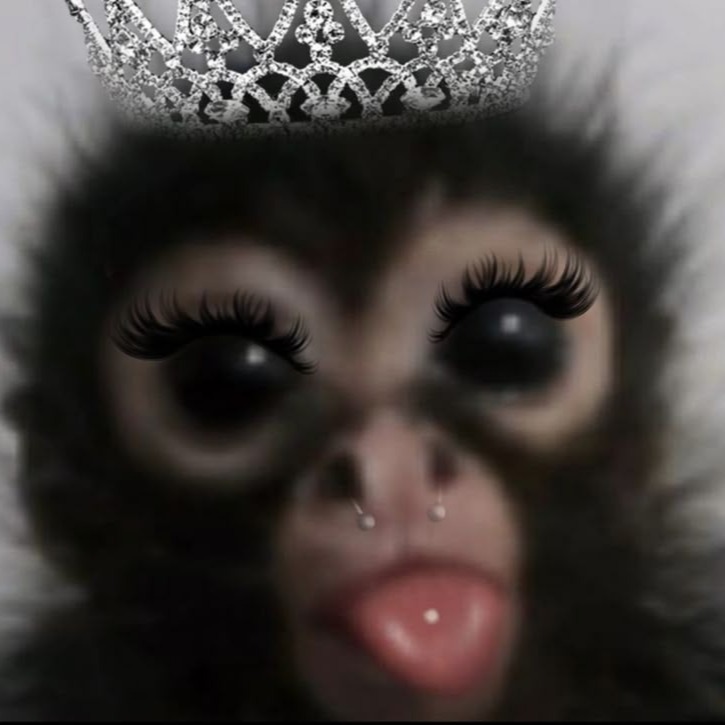 Monkey Pfp by Sprite