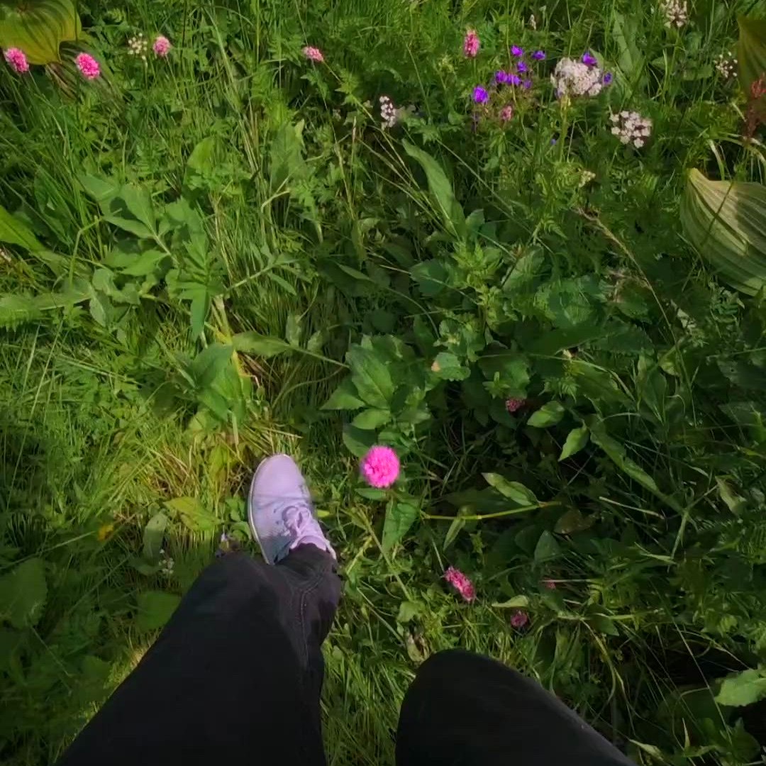 Nature Pfp by hayden.0