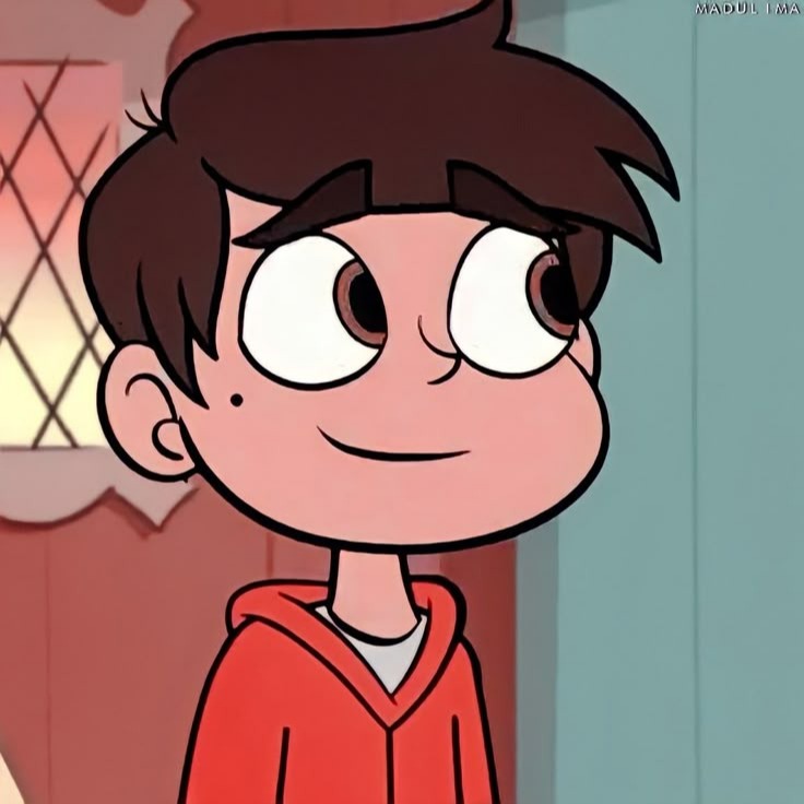 Star Vs The Forces Of Evil Matching Display Picture Pfp by fnb_billywilly