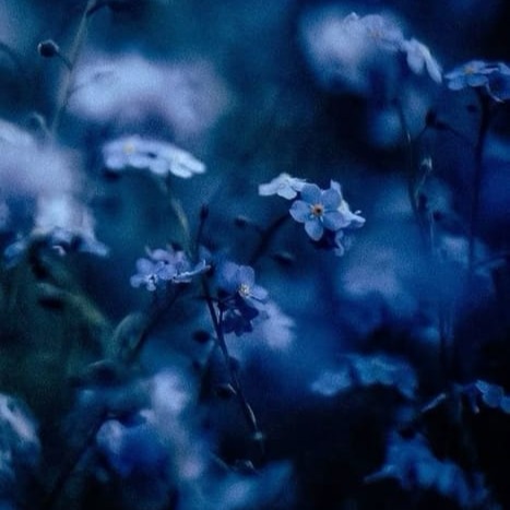 Blue Aesthetic - Pfp Collection