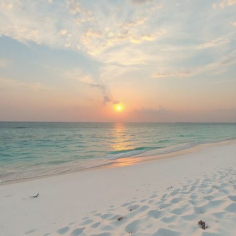 Beach User Picture Pfp by noé