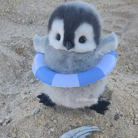 Penguin Pfp by cosmic demon