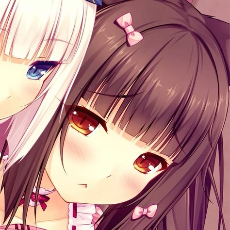 Chocola Pfp Pfp by MrCheckertan