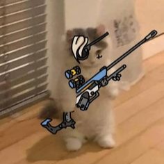Overwatch Cat Pfp by Isuk