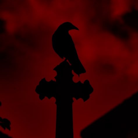 Black And Red Profile Photo Pfp by Lucid