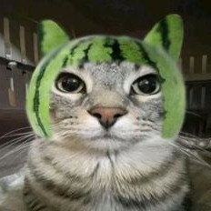 Watermelon Pfp by Shad