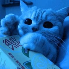 Aesthetic Blue Pfps and Icons - For Discord, Instagram & TikTok