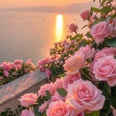 Aesthetic Flowers Pfp by realzoldy