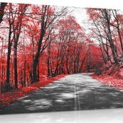 Fall Aesthetic Profile Image Pfp by realzoldy