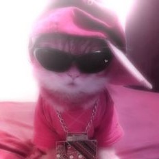 Gangster Cat Pfp by Casian