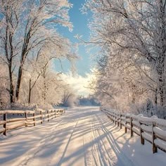 Winter Pfp by fnb_billywilly