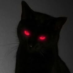 Vampire Pfps and Icons - For Discord, Instagram & TikTok