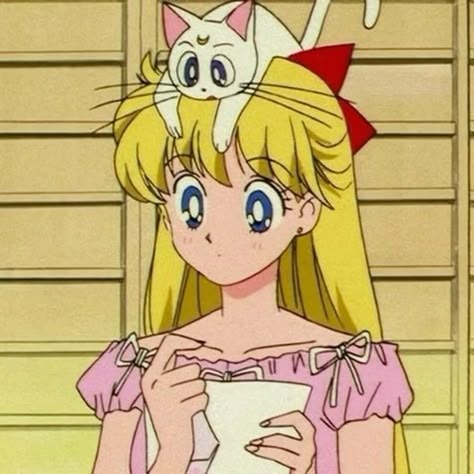 Sailor Venus Pfps and Icons - For Discord, Instagram & TikTok