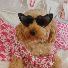 Preppy Pfps and Icons - For Discord, Instagram & TikTok