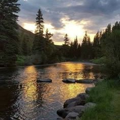 Nature Pfp by hayden.0