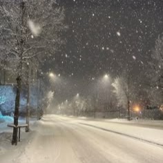 Winter Pfp by Kris Wilson