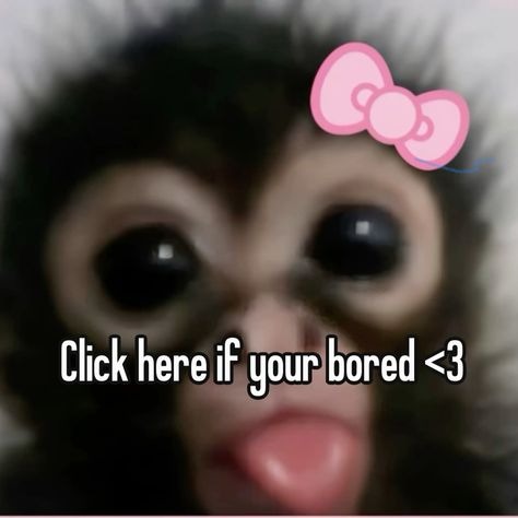 Random Pfps and Icons - For Discord, Instagram & TikTok