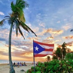 Puerto Rico Pfp by Kris Wilson