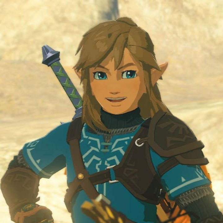 Link Display Picture Pfp by FaZa_Jr