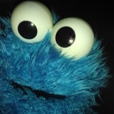 Cookie Monster Display Picture Pfp by realzoldy