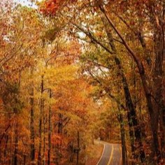 Autumn Profile Avatar Pfp by cosmic demon