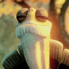 Master Oogway Pfp by ud_lord