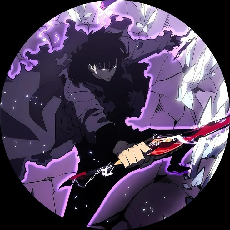 Sung Jin-woo Pfps and Icons - For Discord, Instagram & TikTok