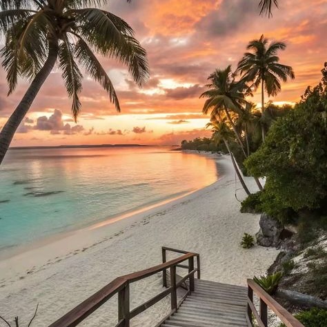 Beach Pfps and Icons - For Discord, Instagram & TikTok