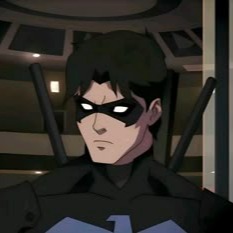 Nightwing Pfps and Icons - For Discord, Instagram & TikTok