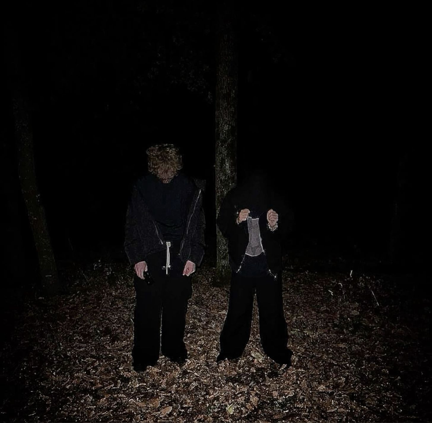 INVISIBLE PFP Pfp by vl