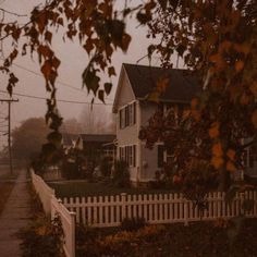 Fall Aesthetic Pfps and Icons - For Discord, Instagram & TikTok