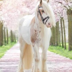 Cute Horse Pfps and Icons - For Discord, Instagram & TikTok